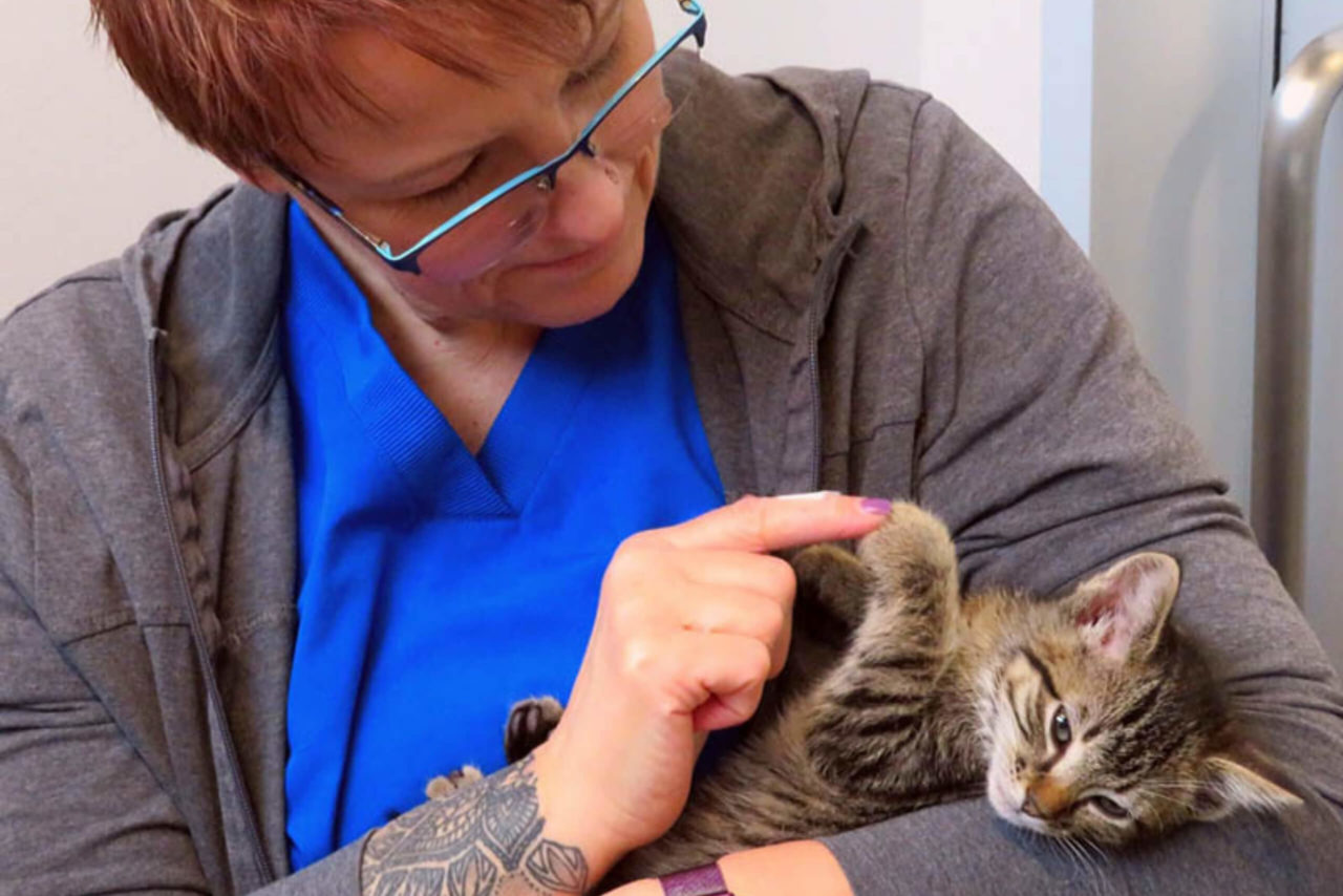 Best Vet Hospital In Denver, CO 80209 – Goodheart Broadway