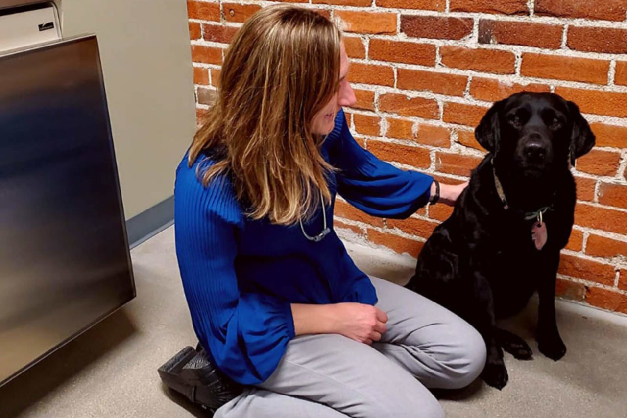 Best Vet Hospital In Denver, CO 80209 – Goodheart Broadway