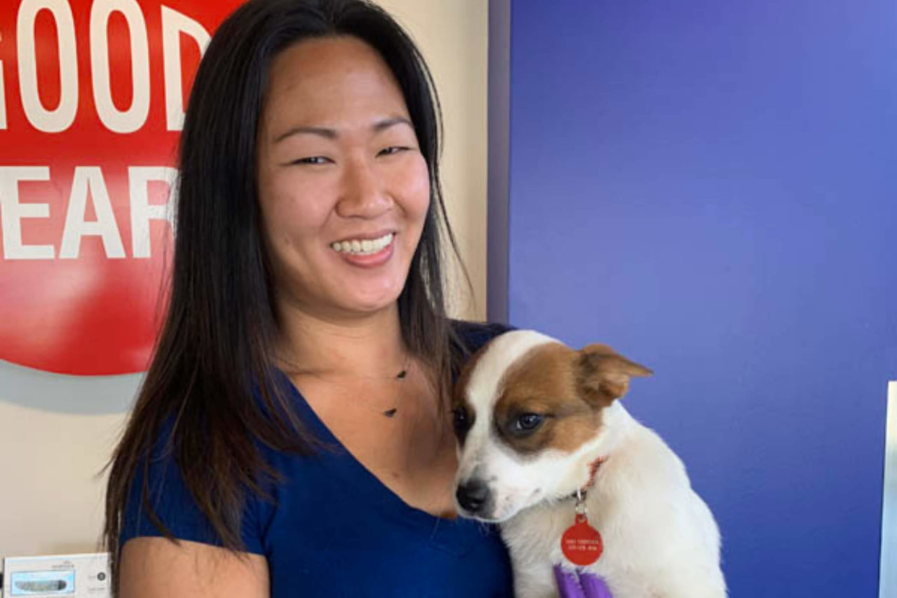 Best Vet Hospital In Denver, CO 80209 – Goodheart Broadway