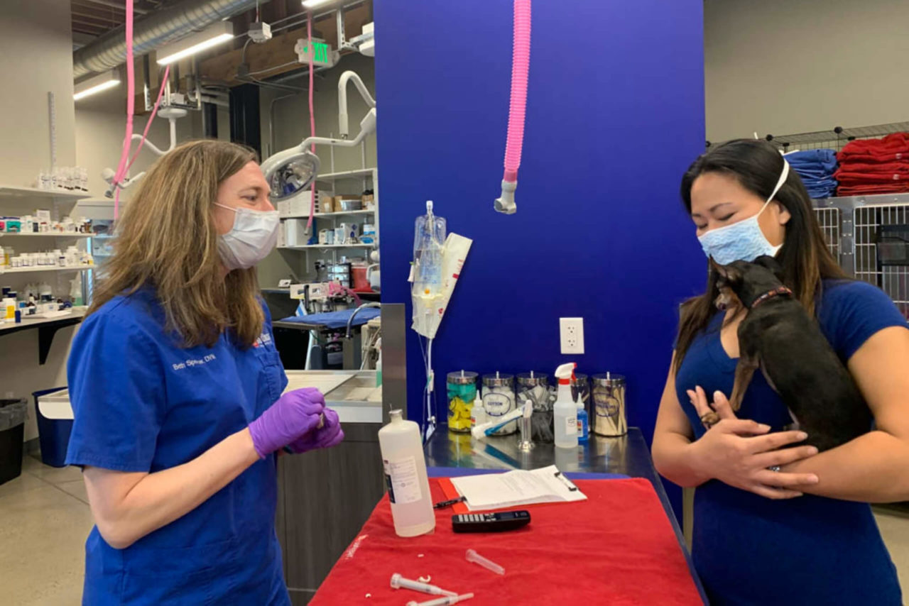 Best Vet Hospital In Denver, CO 80209 – Goodheart Broadway