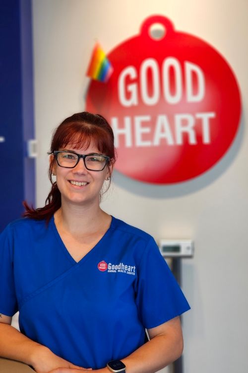 Veterinarian In Denver, CO 80209 – Goodheart Broadway