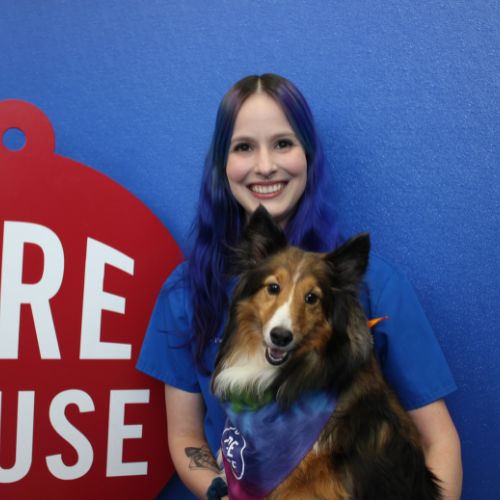 Ease Your Pet’s Stiff Joints In 2024 – Goodheart Broadway