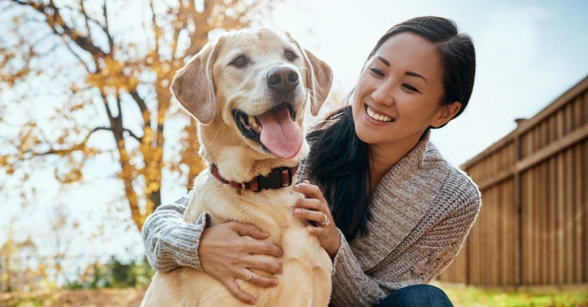 Keep Pets Safe From Neighborhood Wildlife – Goodheart Broadway